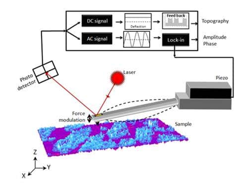 Force modulation mode | csinstruments