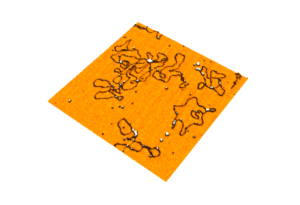 Nano-Observer AFM Microscope