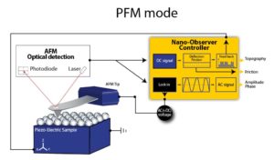 Piezoresponse Force Microscopy
